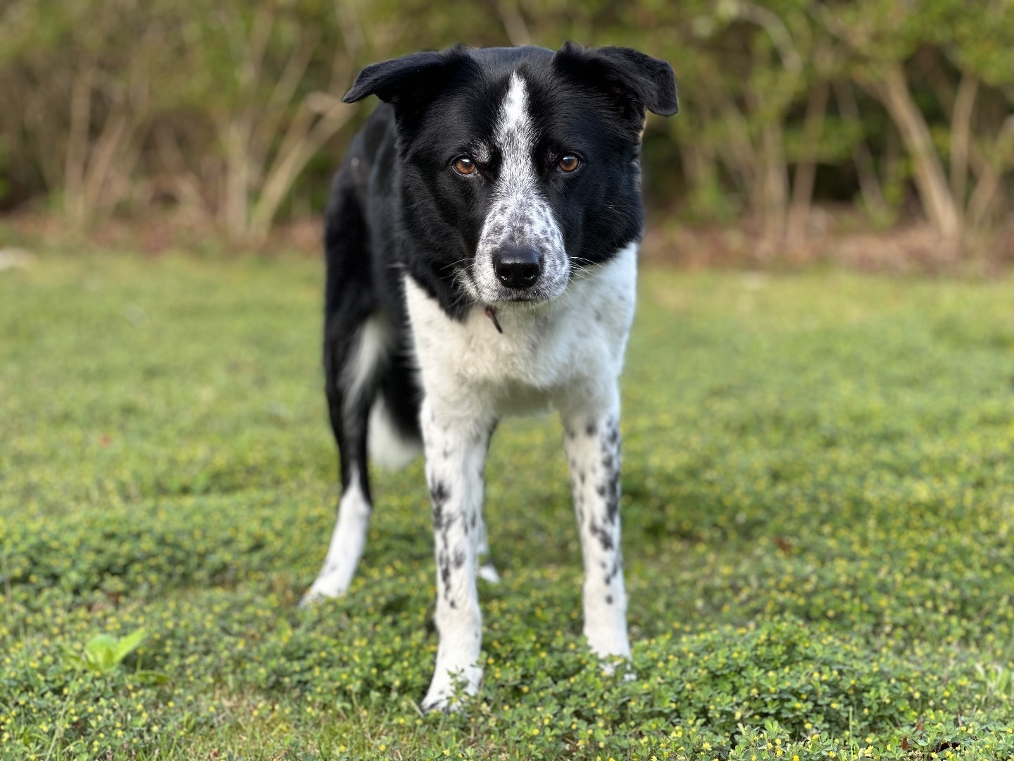 出るまで歩く！: ゲンキな毎日